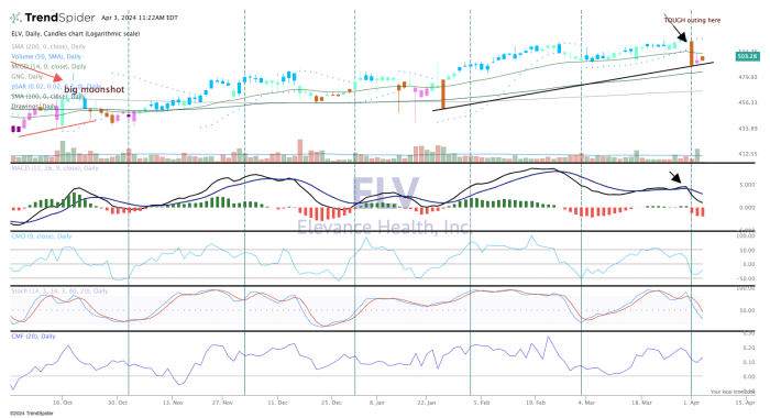 Chart of the Day: Elevance Health Feels Medicare's Pain - TheStreet Pro