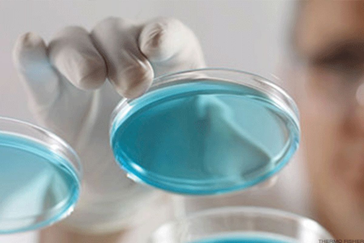 Harvard Bioscience an 'Asymmetrical Long Shot' - TheStreet Pro