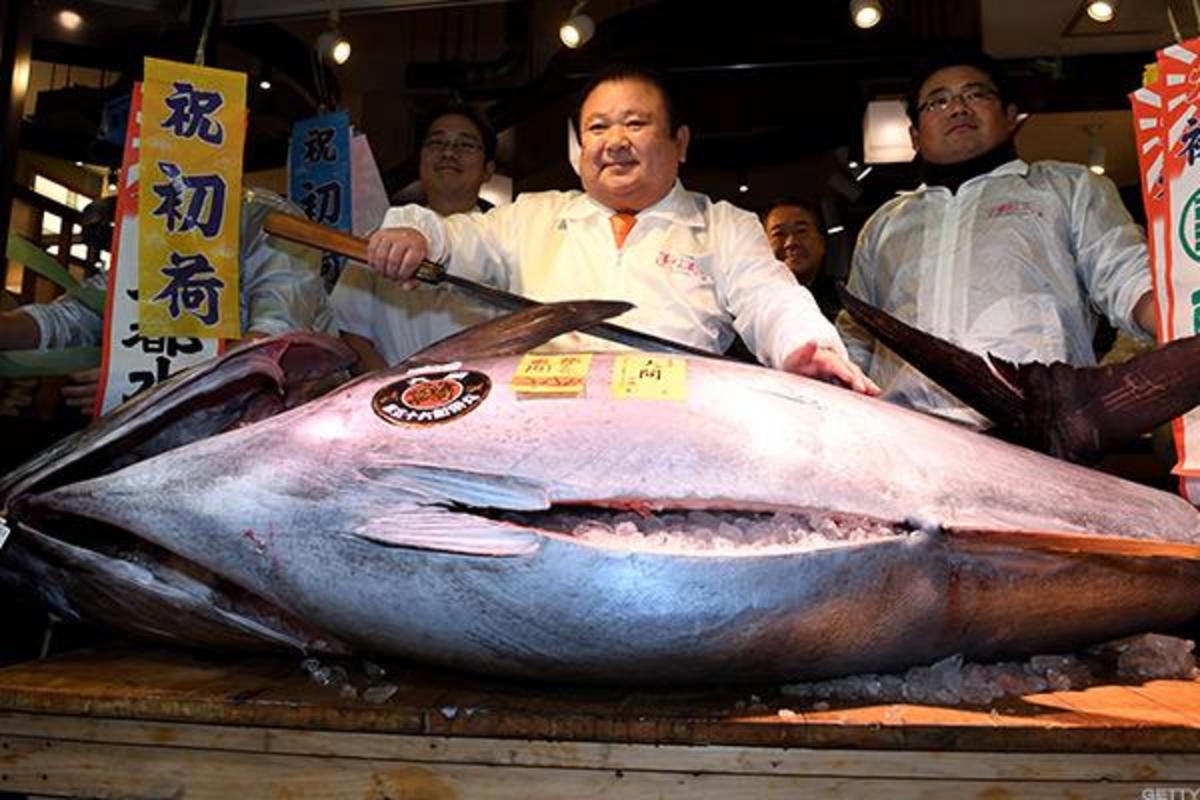 Someone in Japan Paid a Mind-Blowing $624,000 for a Giant Tuna, and ...
