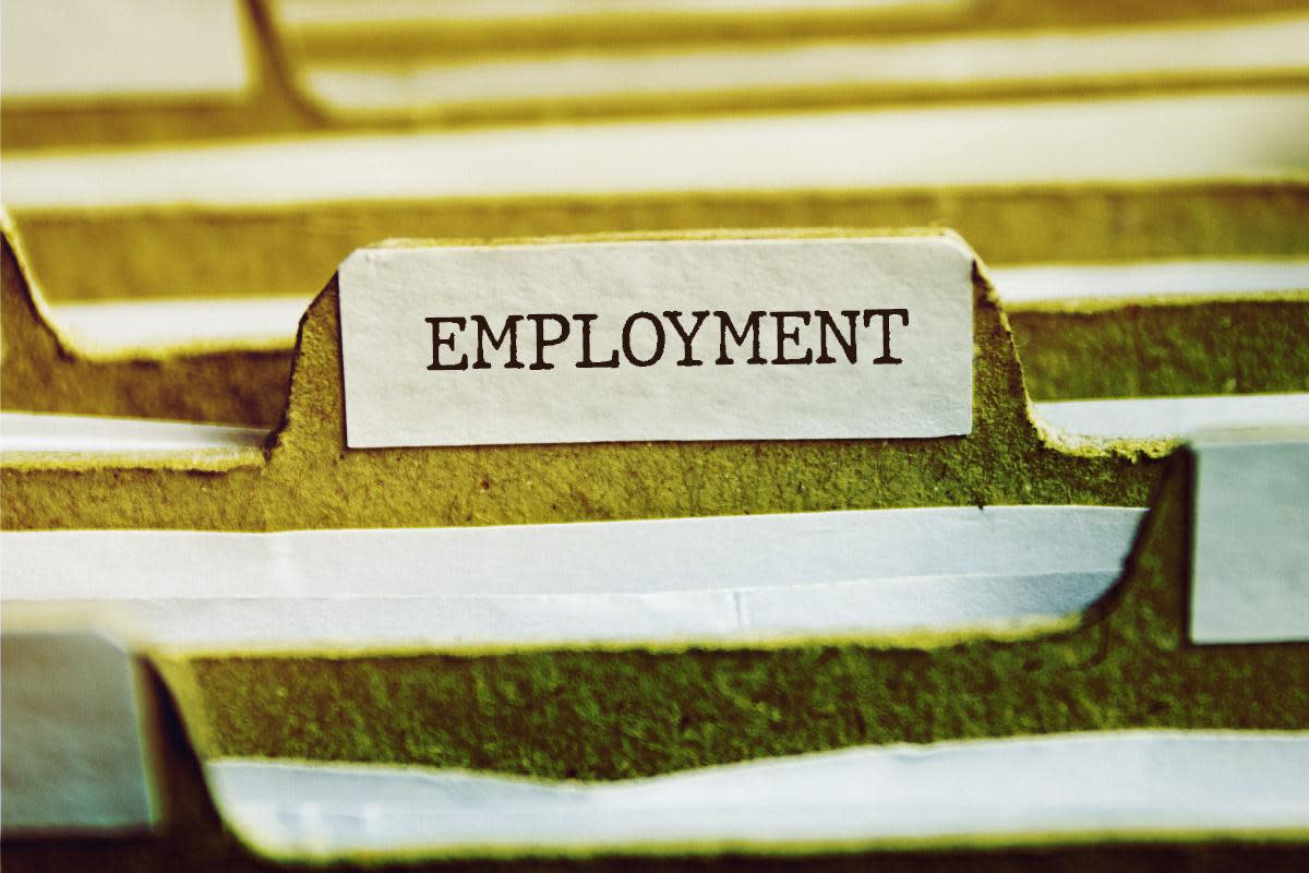 Mixed Jobs Report Is Much More Than Meets the Eye - TheStreet Pro
