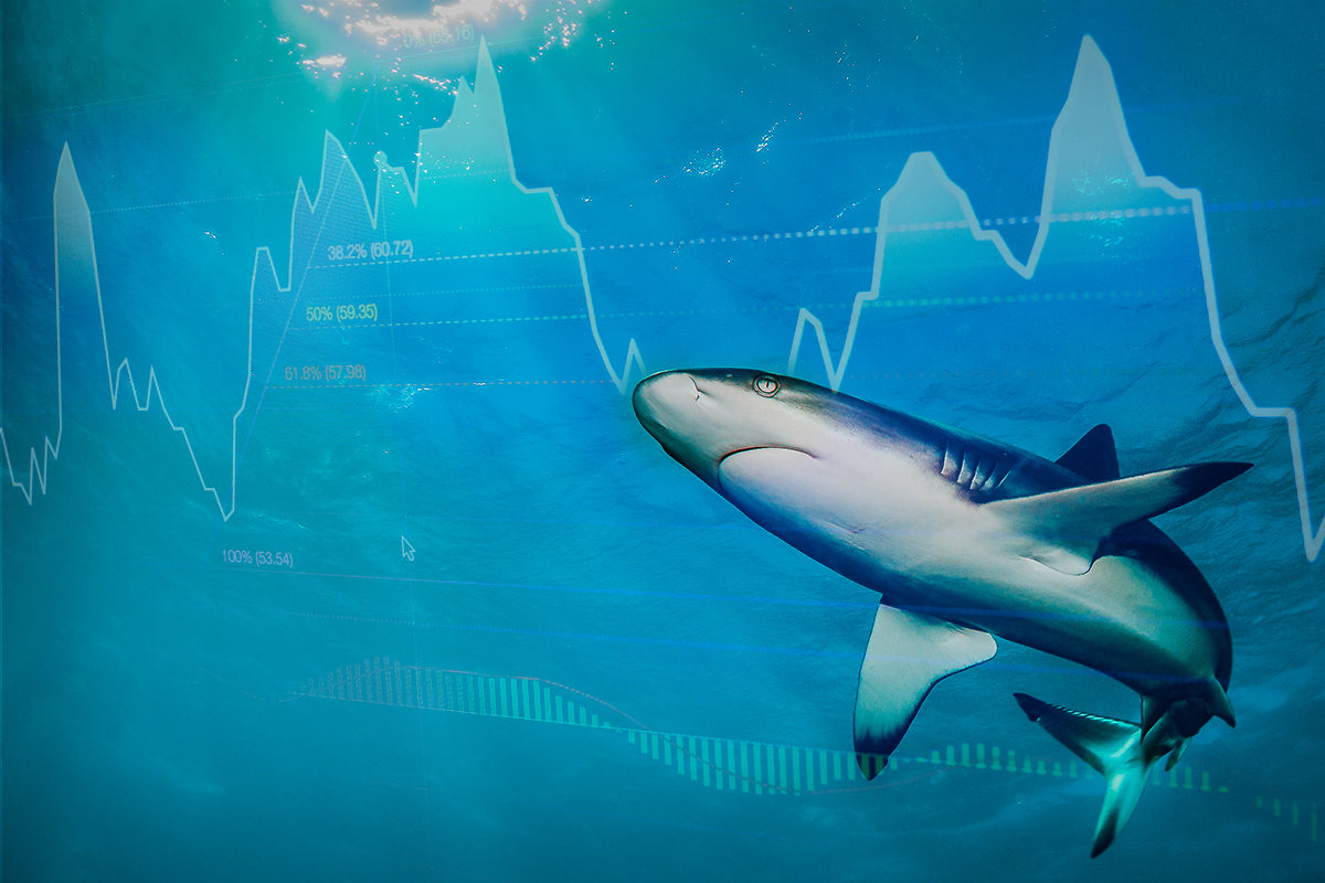 The Evolution of a Stock Market Shark - TheStreet Pro
