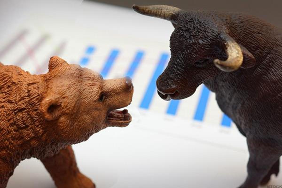 Boiled Frogs and Fallacious Perma-Bears - TheStreet Pro