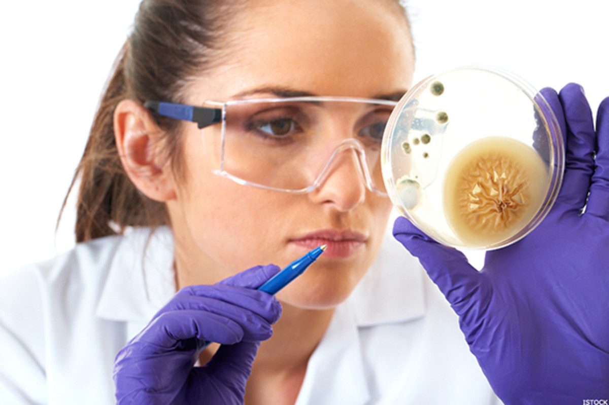 5 Small-Cap Biotechs With Big Potential - TheStreet Pro