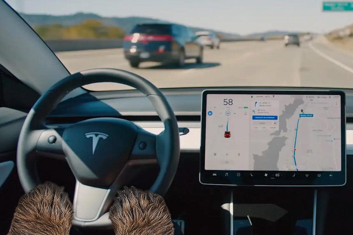 Tesla Bears May Have to Let the Bulls Take the Wheel Soon - TheStreet Pro