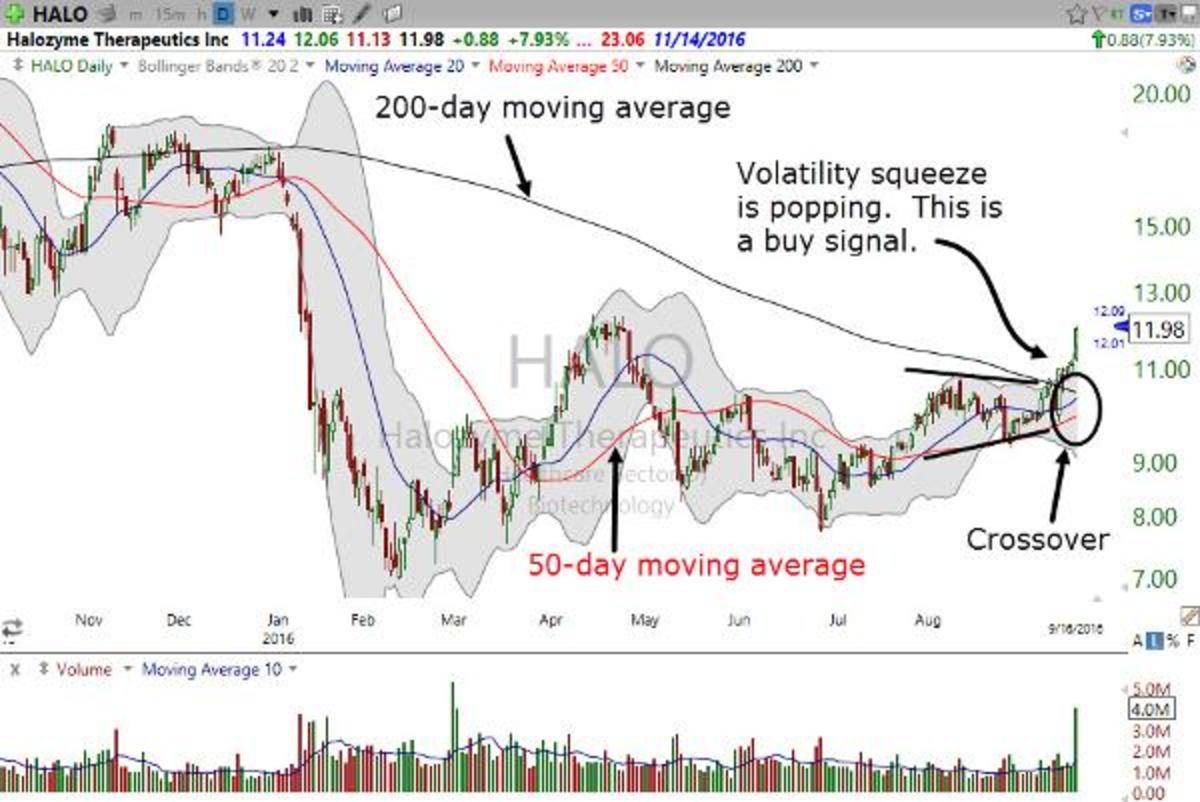 Netflix Can Break out Soon - TheStreet Pro