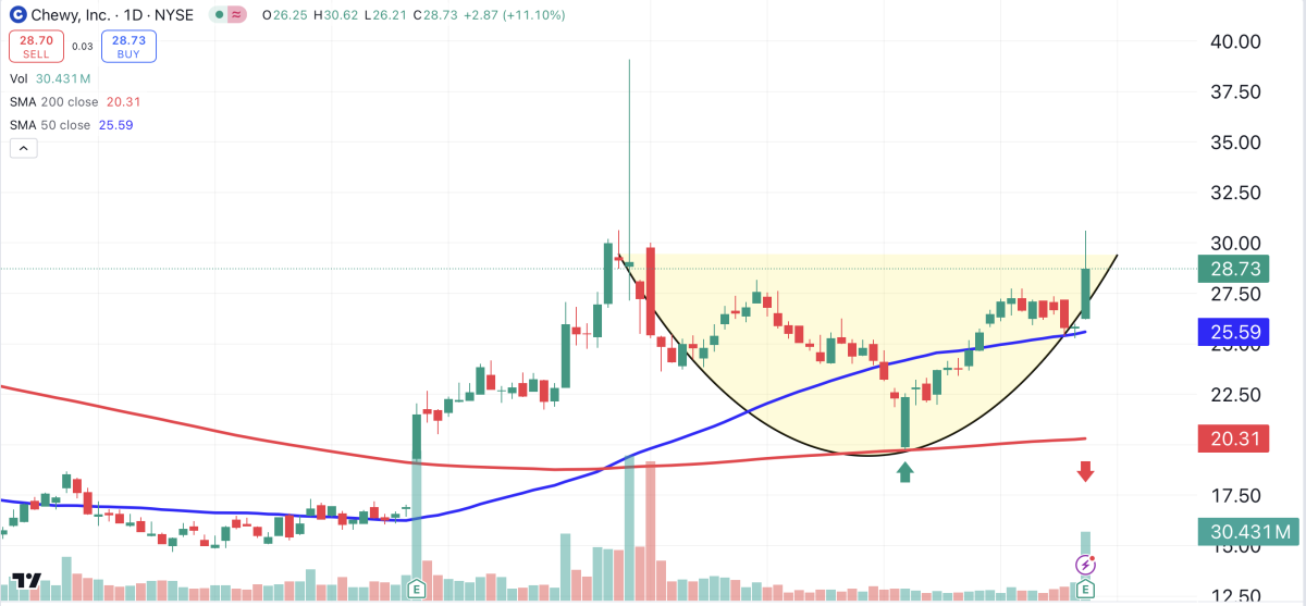 Chewy's Growth in Premium Offerings Sets Up Potential Stock Rally ...